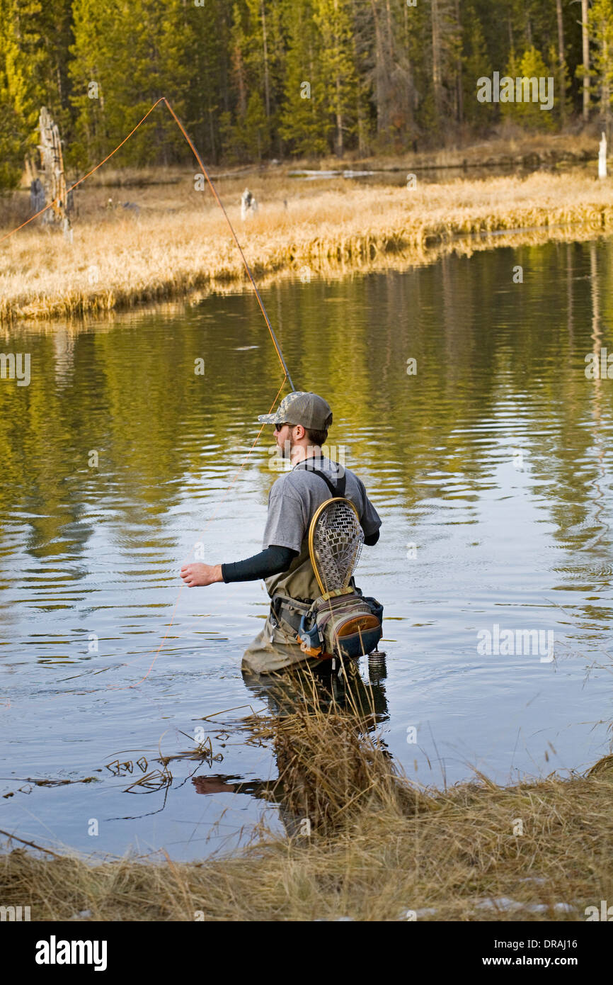 A fly fisherman casts for redside rainbow trout on Fall River in the ...