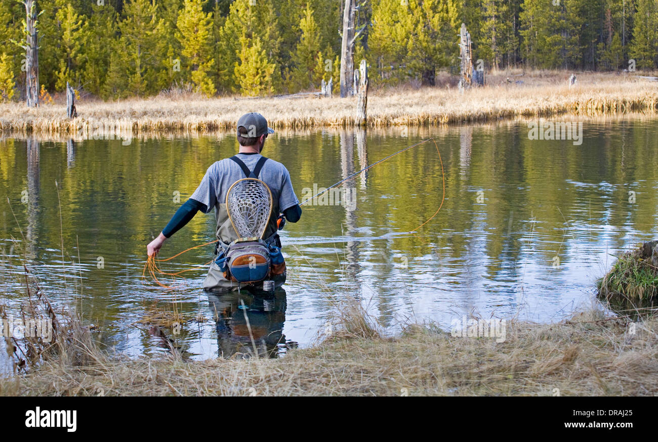 A fly fisherman casts for redside rainbow trout on Fall River in the ...