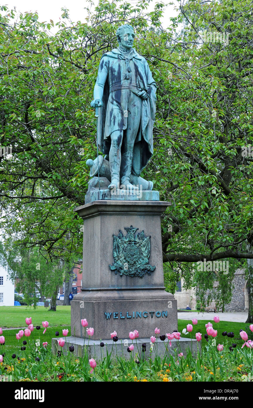 Statue of Wellington Cathedral precincts, Norwich Stock Photo - Alamy