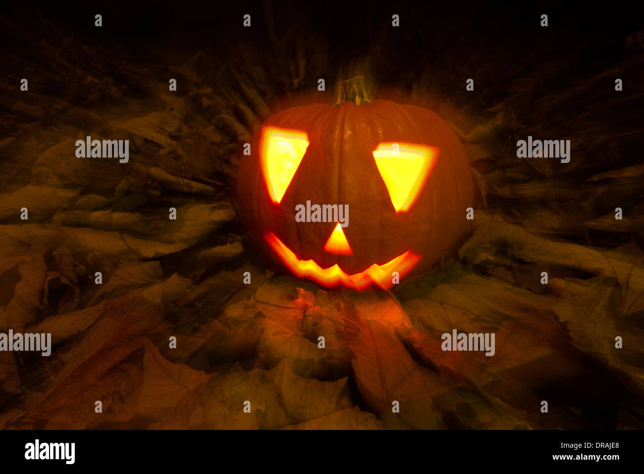Jack o lantern Halloweens pumpkin on dark dried leaves glowing eyes and ...