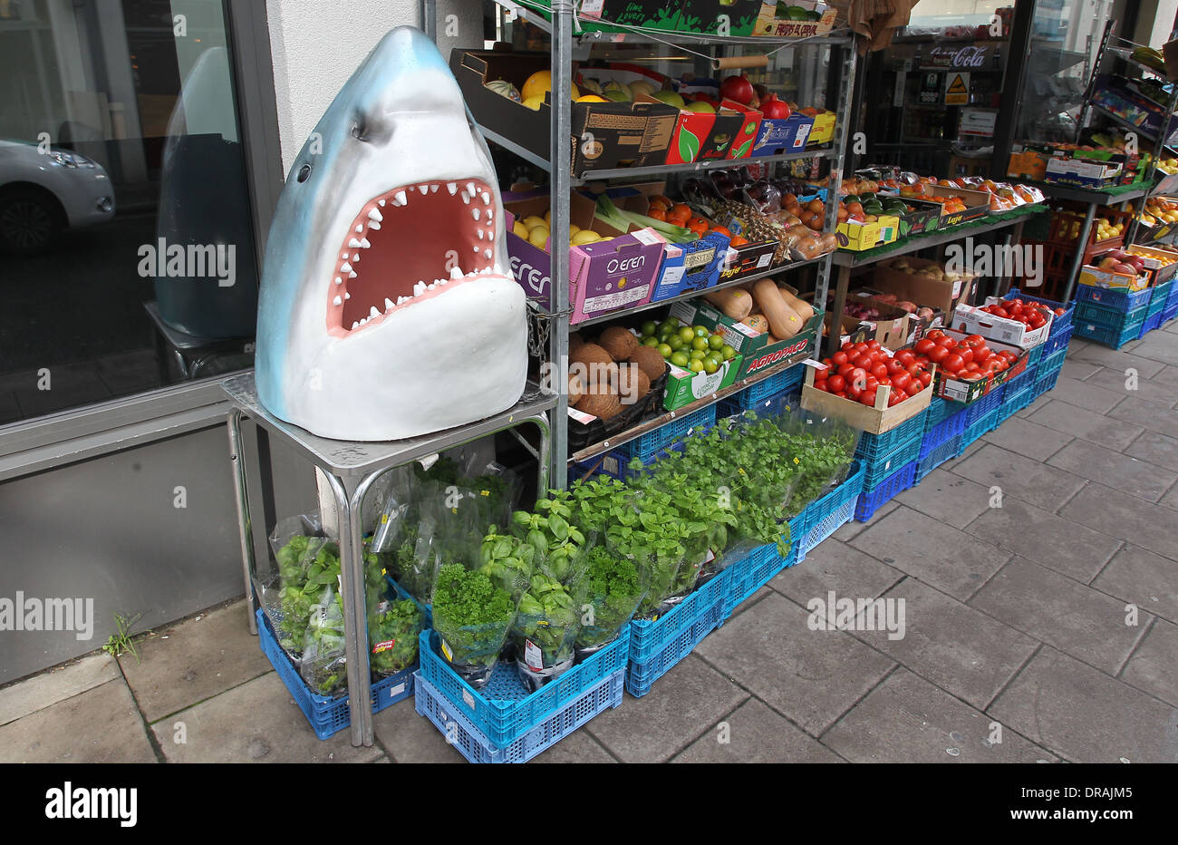Plastic Sharks Head outside a fruit and vegetable shop in Brighton ...
