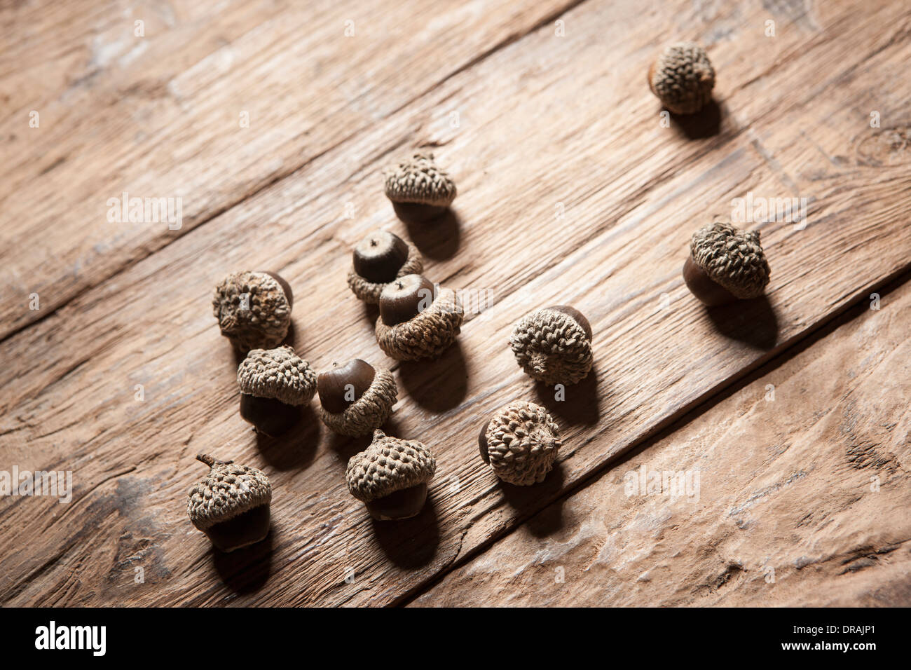 Oak nuts hi-res stock photography and images - Alamy