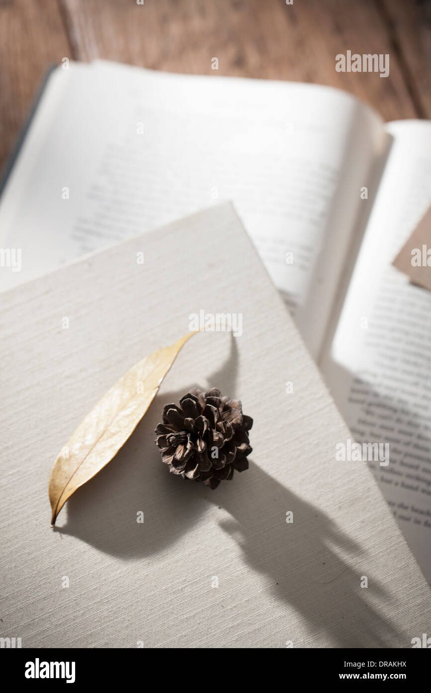 an open book with a card on wooden surface Stock Photo - Alamy