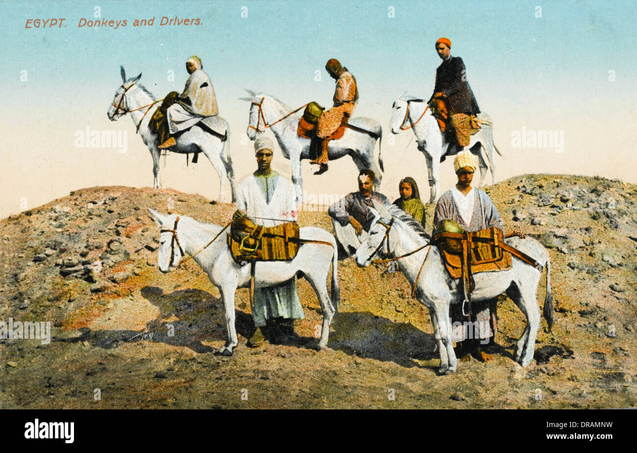 Mules Drivers High Resolution Stock Photography and Images - Alamy