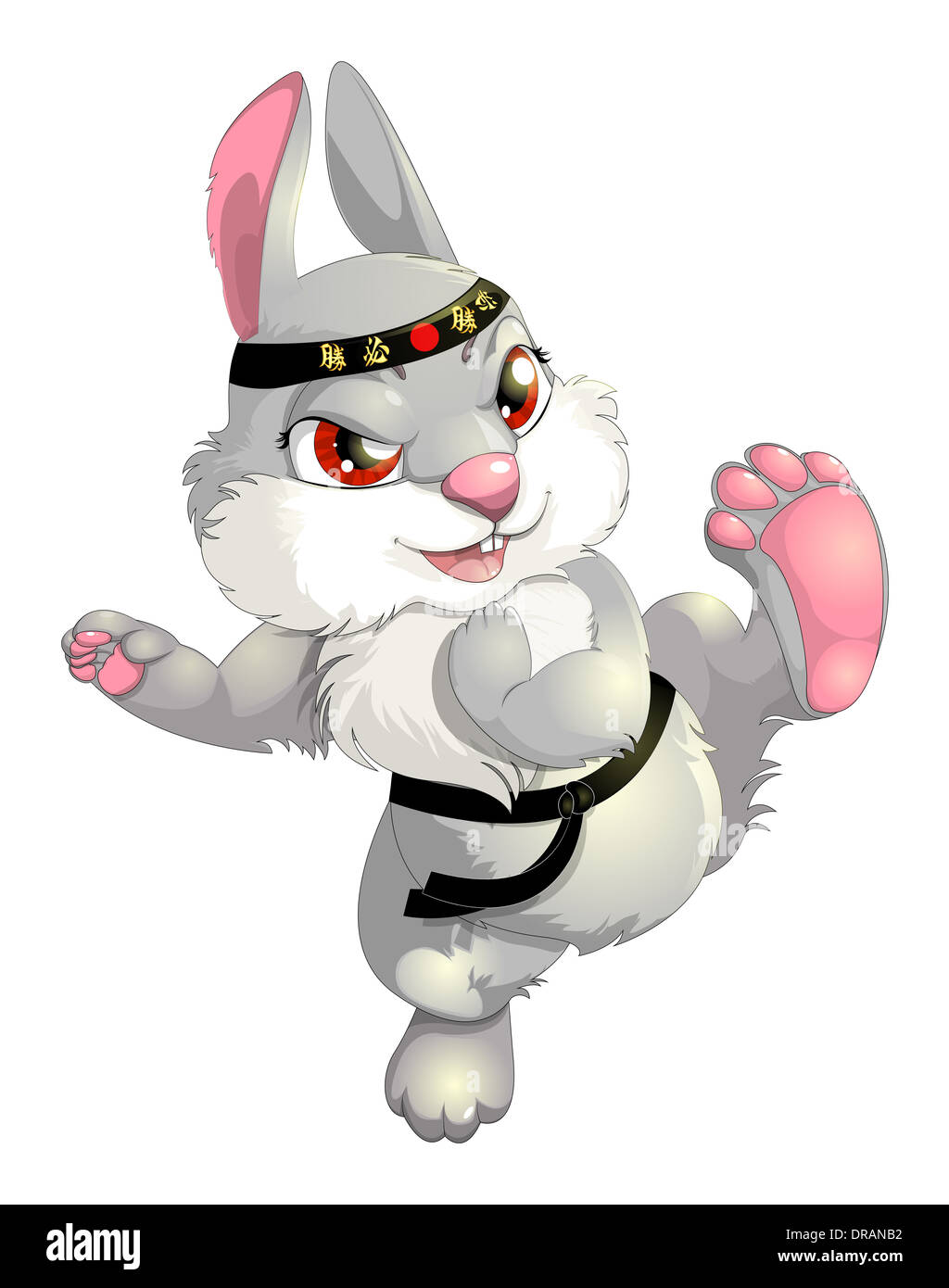 Rabbit hare fighter karate hi-res stock photography and images - Alamy