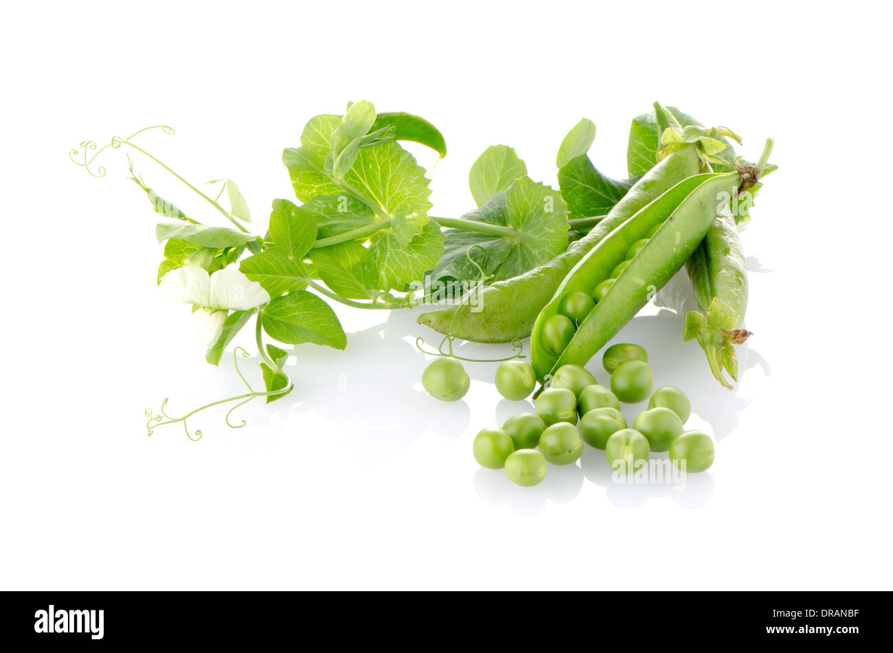Fresh green pea pod on white background Stock Photo - Alamy