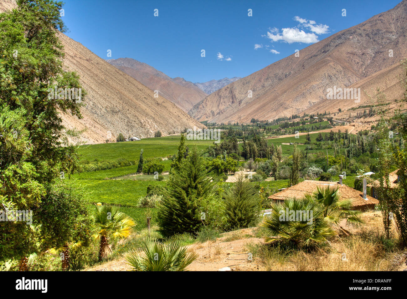 Vineyard Elqui Valley High Resolution Stock Photography and Images - Alamy