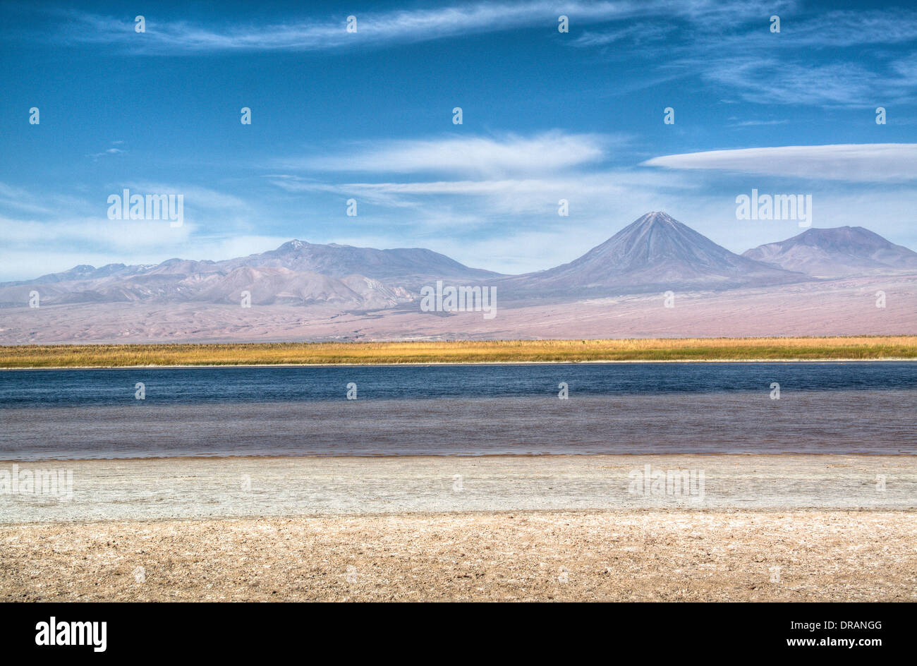 Lagoon in the Atacama desert Stock Photo - Alamy