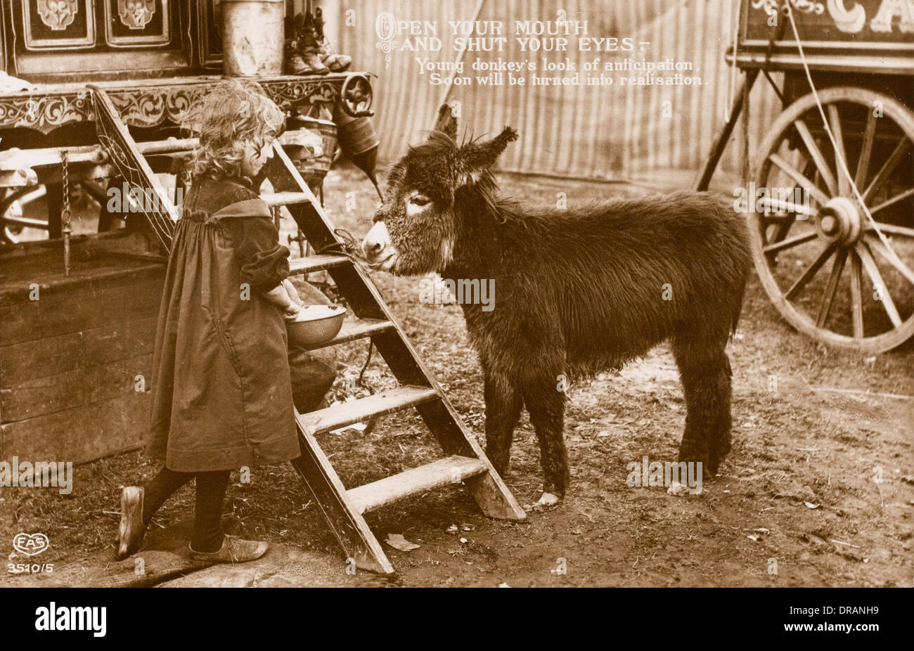 Young girl with a baby donkey Stock Photo - Alamy