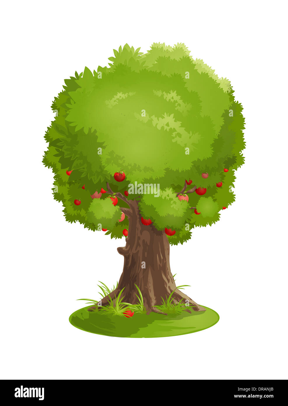 Tree shade Cut Out Stock Images & Pictures - Alamy