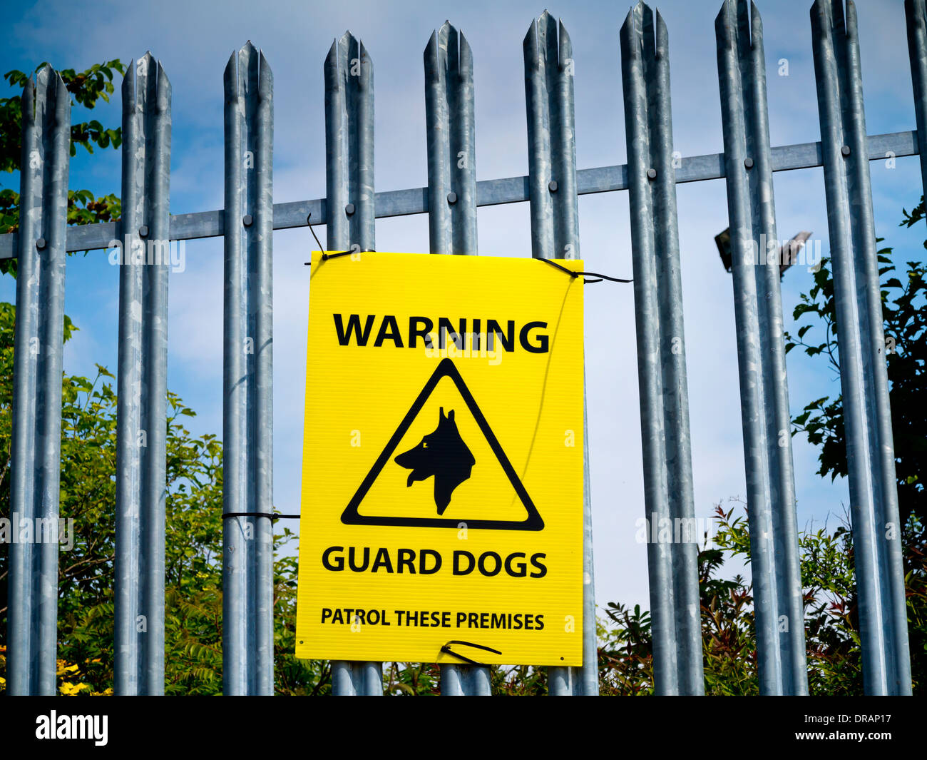 Patrol dogs hi-res stock photography and images - Alamy