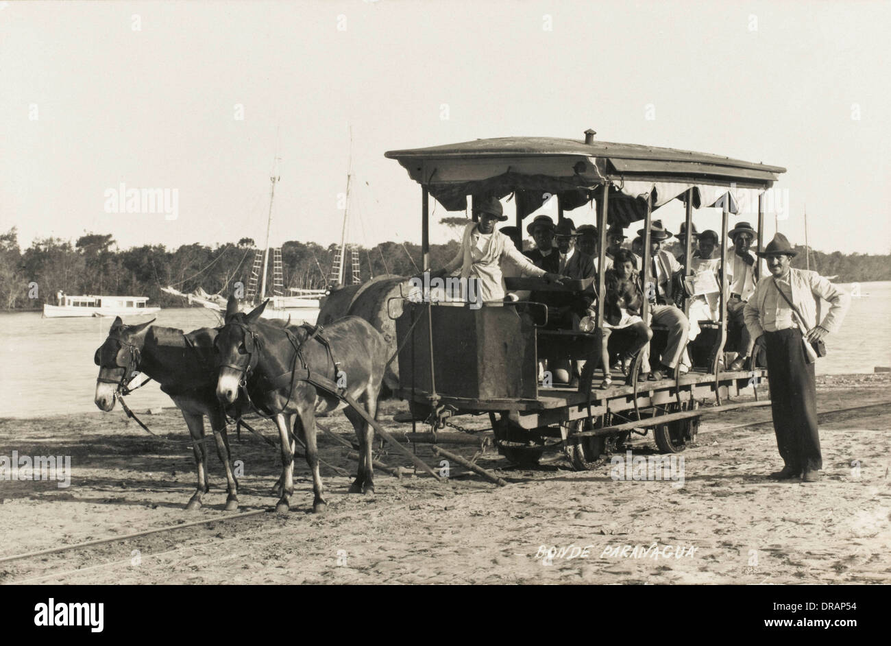 Mule drawn wagon hi-res stock photography and images - Alamy