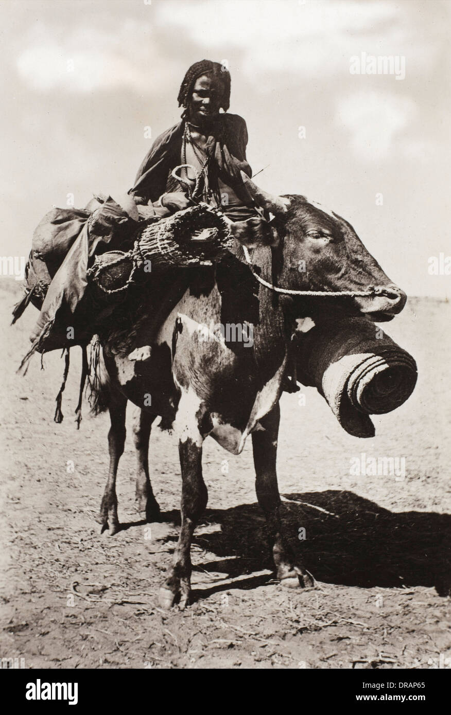 Sudan - Native woman riding a cow - Kordofan Stock Photo - Alamy