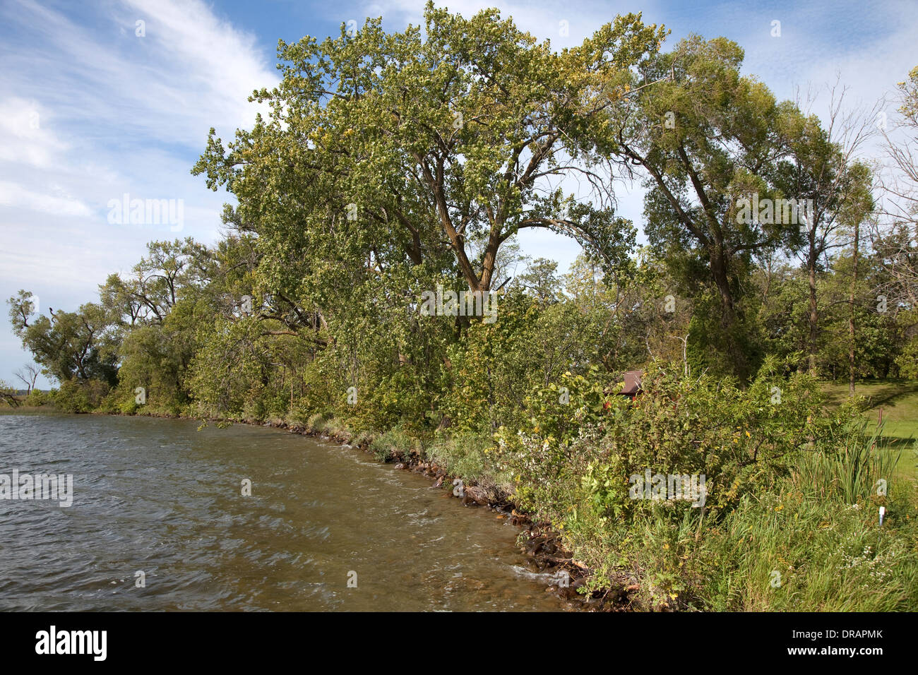 Pristine lake hi-res stock photography and images - Alamy