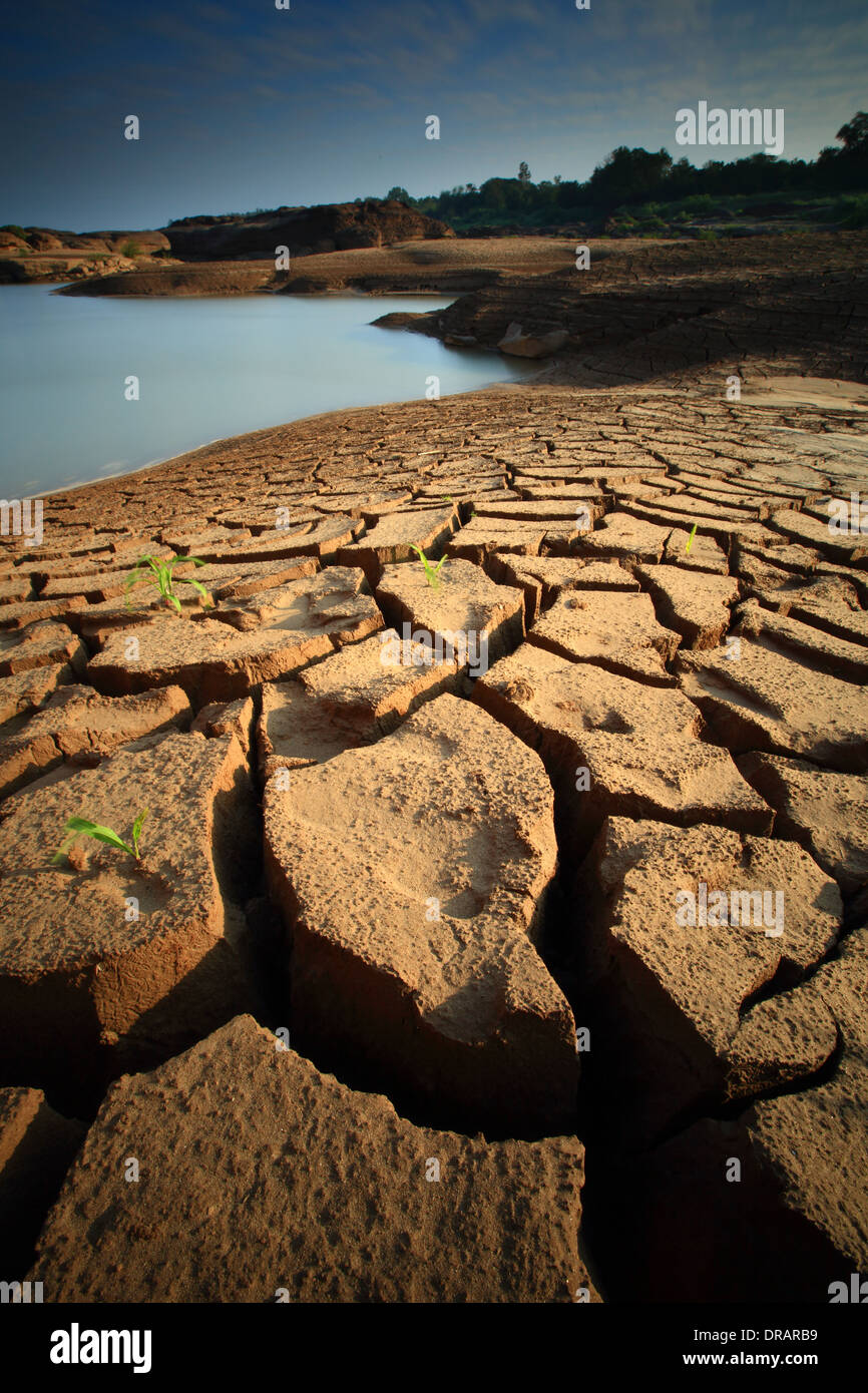 Dry soil texture hi-res stock photography and images - Alamy