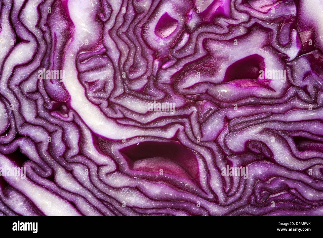 red cabbage pattern Stock Photo - Alamy