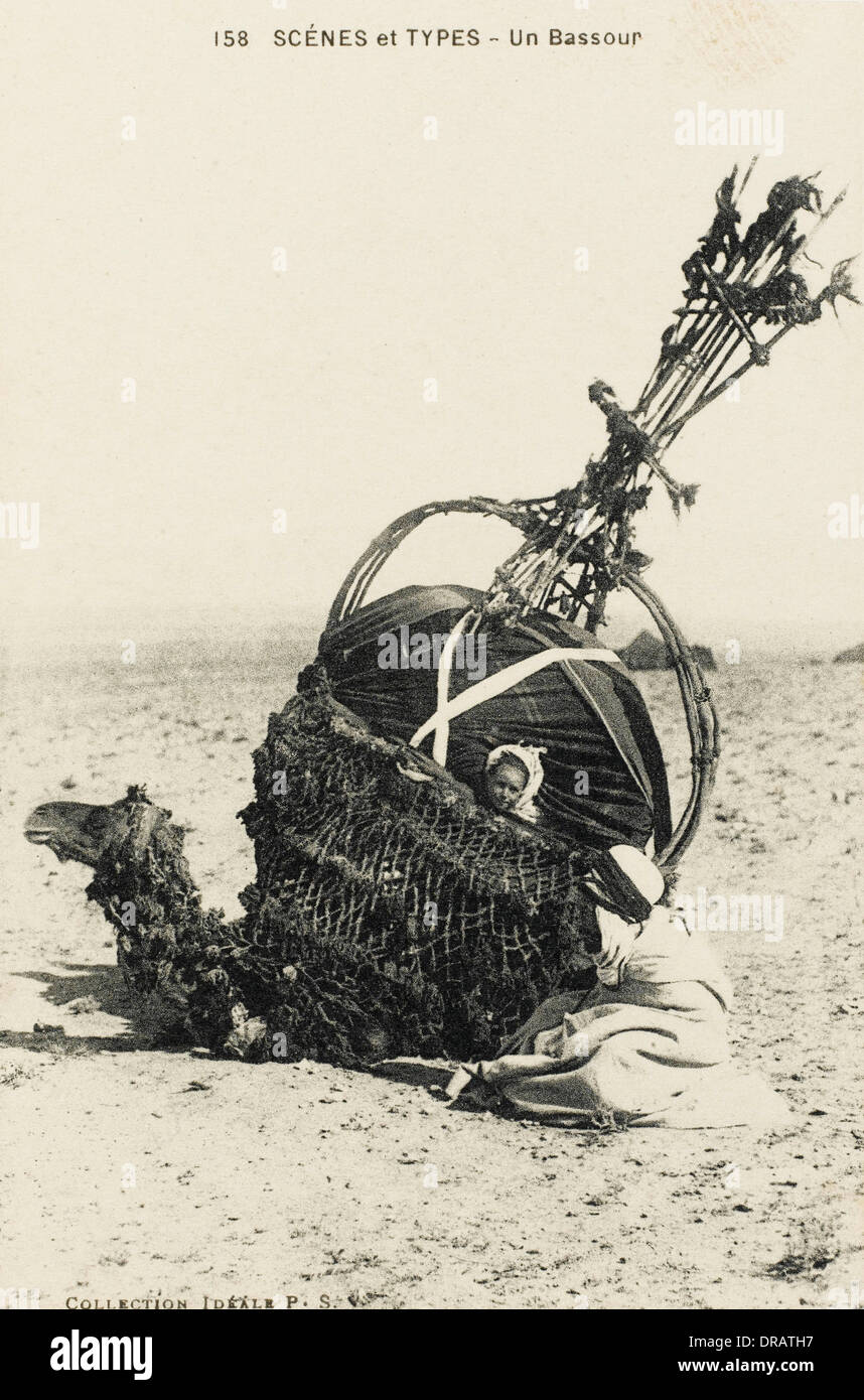 Camel Palanquin (covered litter Stock Photo - Alamy