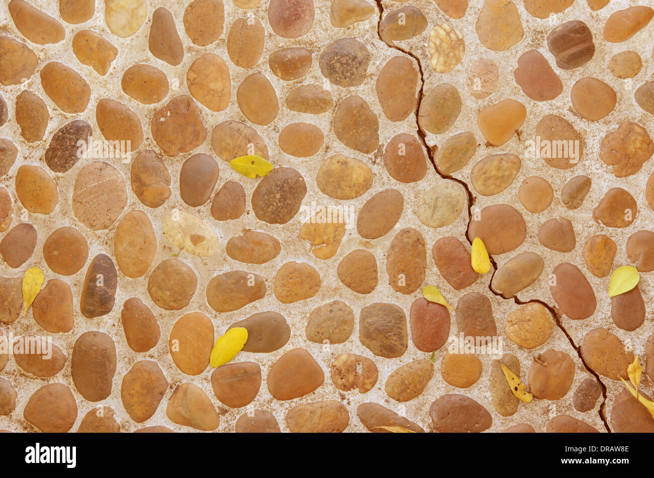 Wall Round Crack Texture
