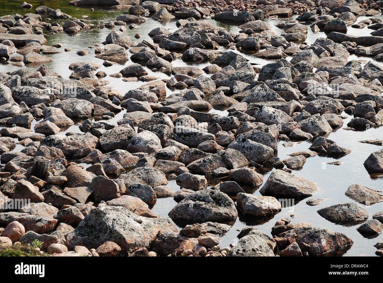 Background of pebbles waterlogged Stock Photo - Alamy