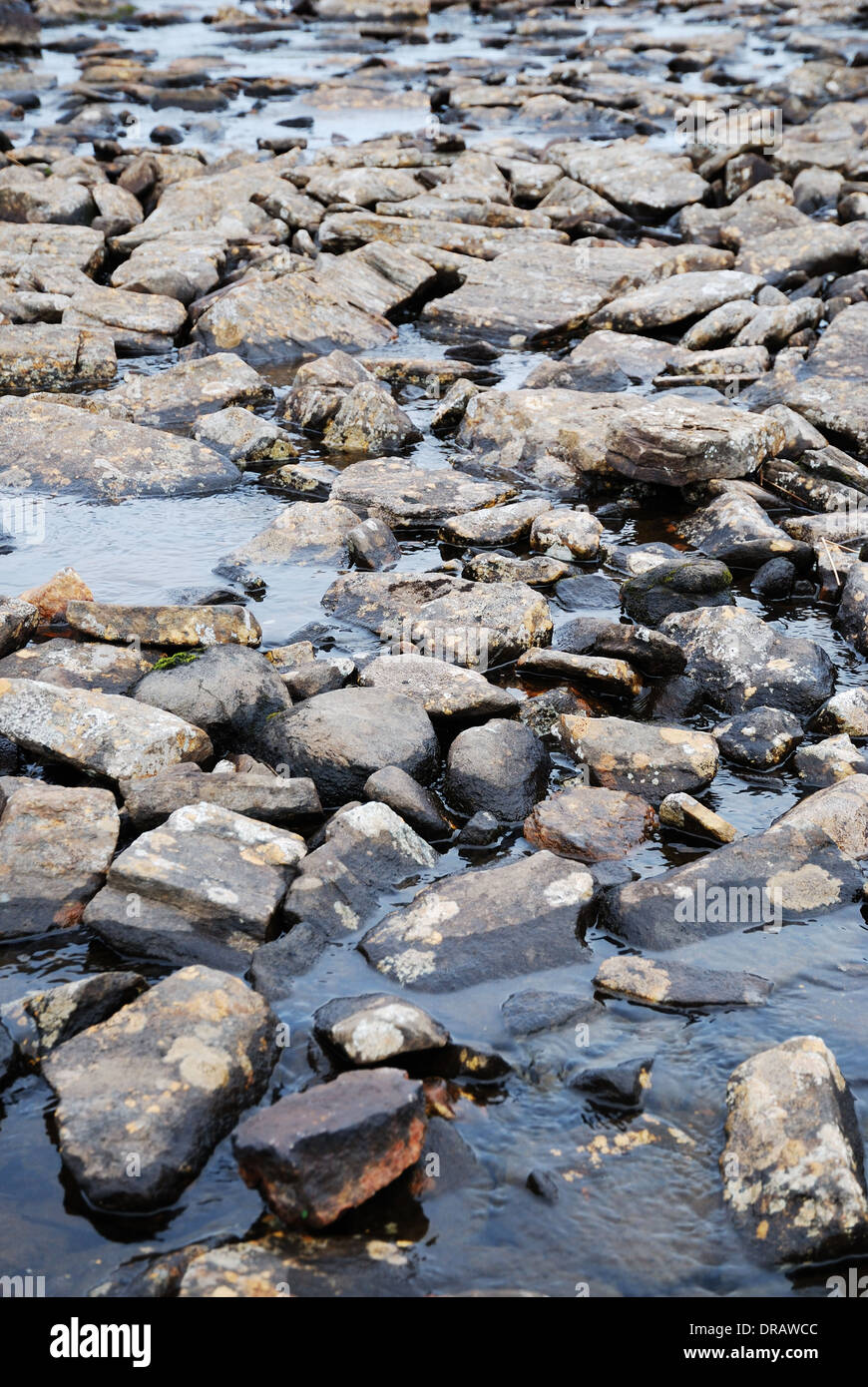 Background of pebbles waterlogged Stock Photo - Alamy