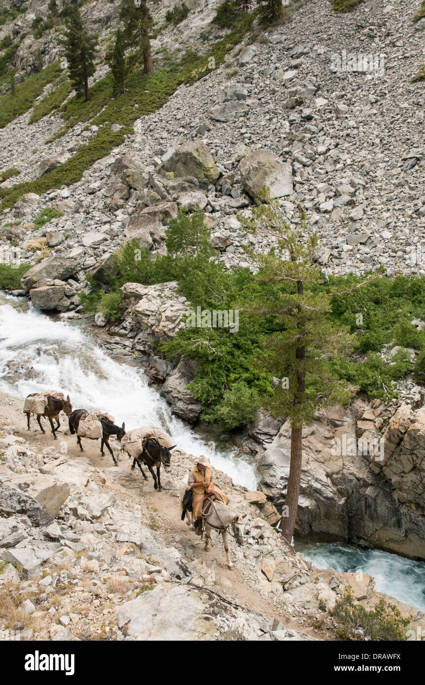 Horseback riding along river hi-res stock photography and images - Alamy