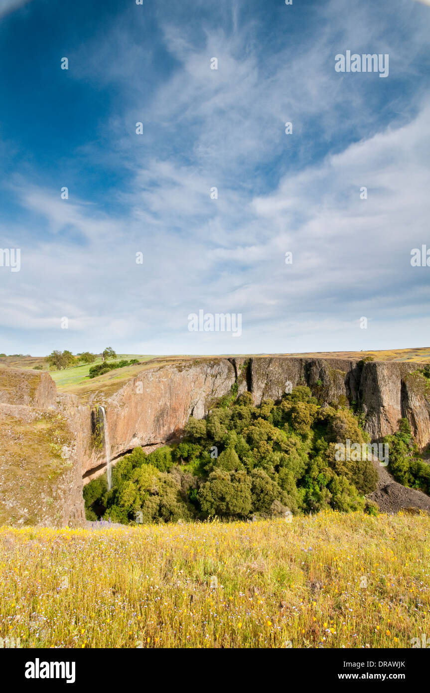 Northern California spring wildflowers and waterfall Stock Photo - Alamy