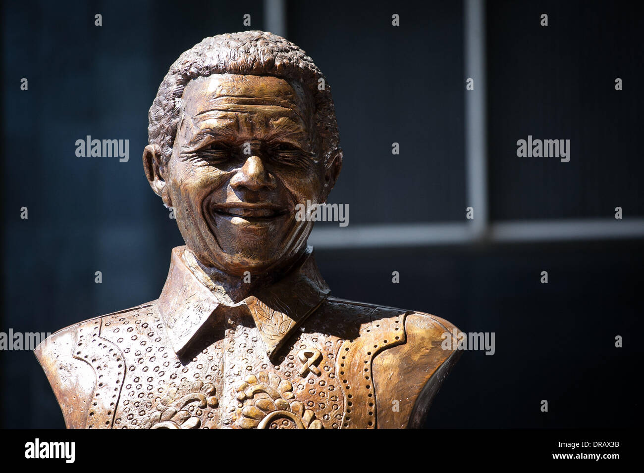 Caracas, Venezuela. 22nd Jan, 2014. The bust in honor of the late South ...