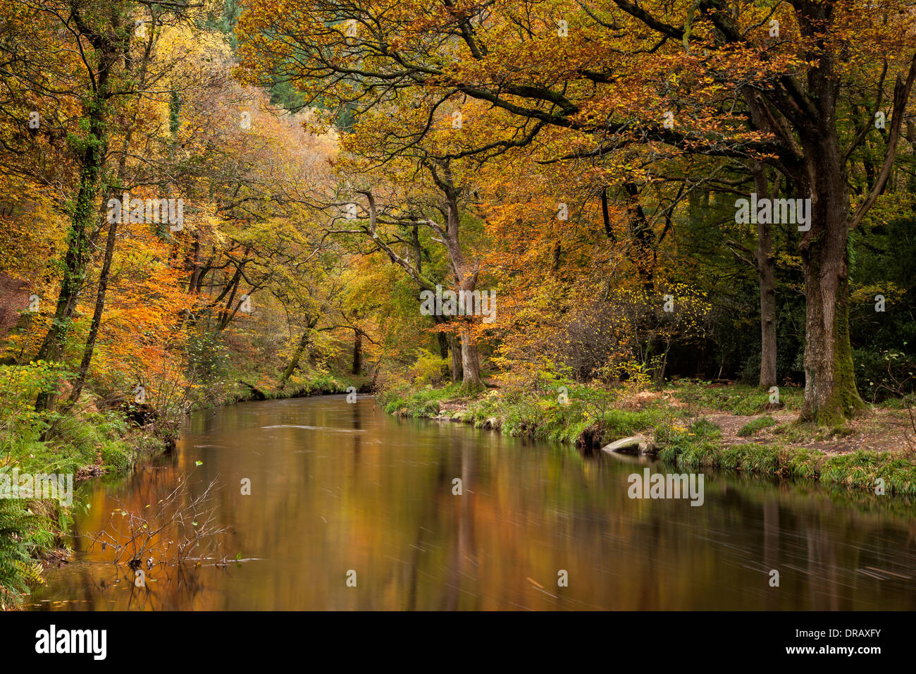 The teign gorge hi-res stock photography and images - Alamy