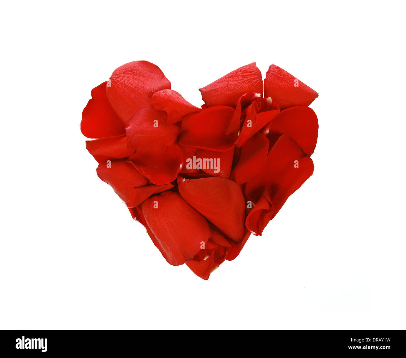 Red roses white heart Cut Out Stock Images & Pictures - Alamy