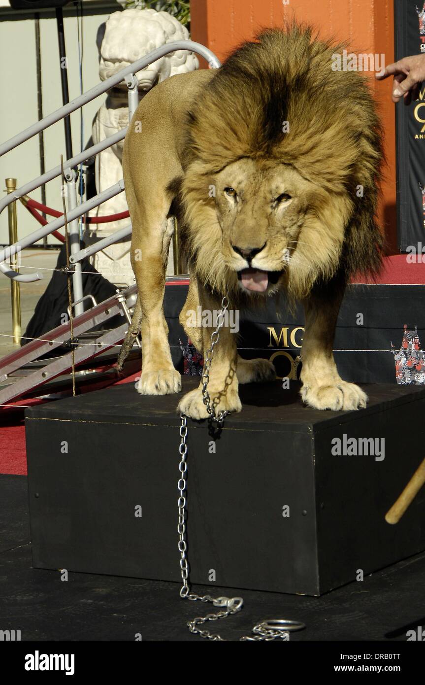 Los Angeles, CA, USA. 22nd Jan, 2014. Leo the Lion at the induction ...