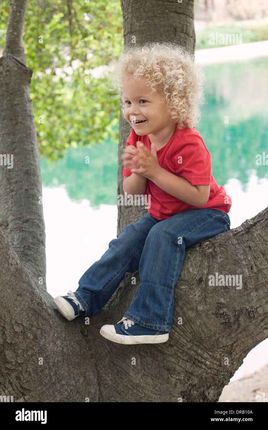 Curly tree hi-res stock photography and images - Alamy