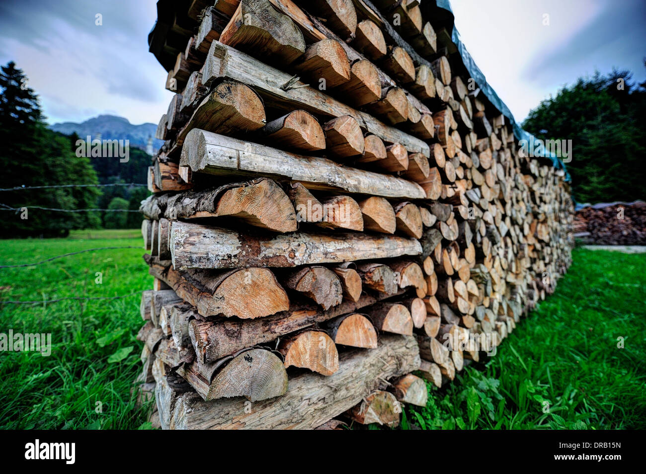 Pile Of Log High Resolution Stock Photography and Images - Alamy