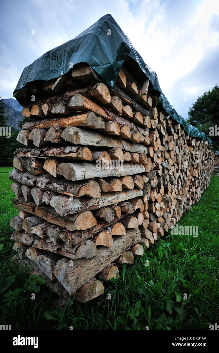 A pile of log Stock Photo - Alamy