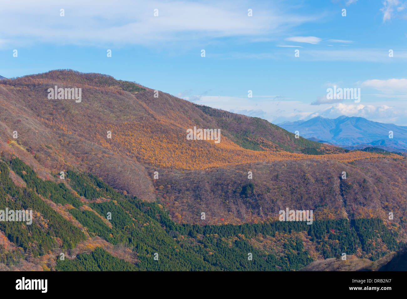 Mountains in Nikko, Japan Stock Photo - Alamy