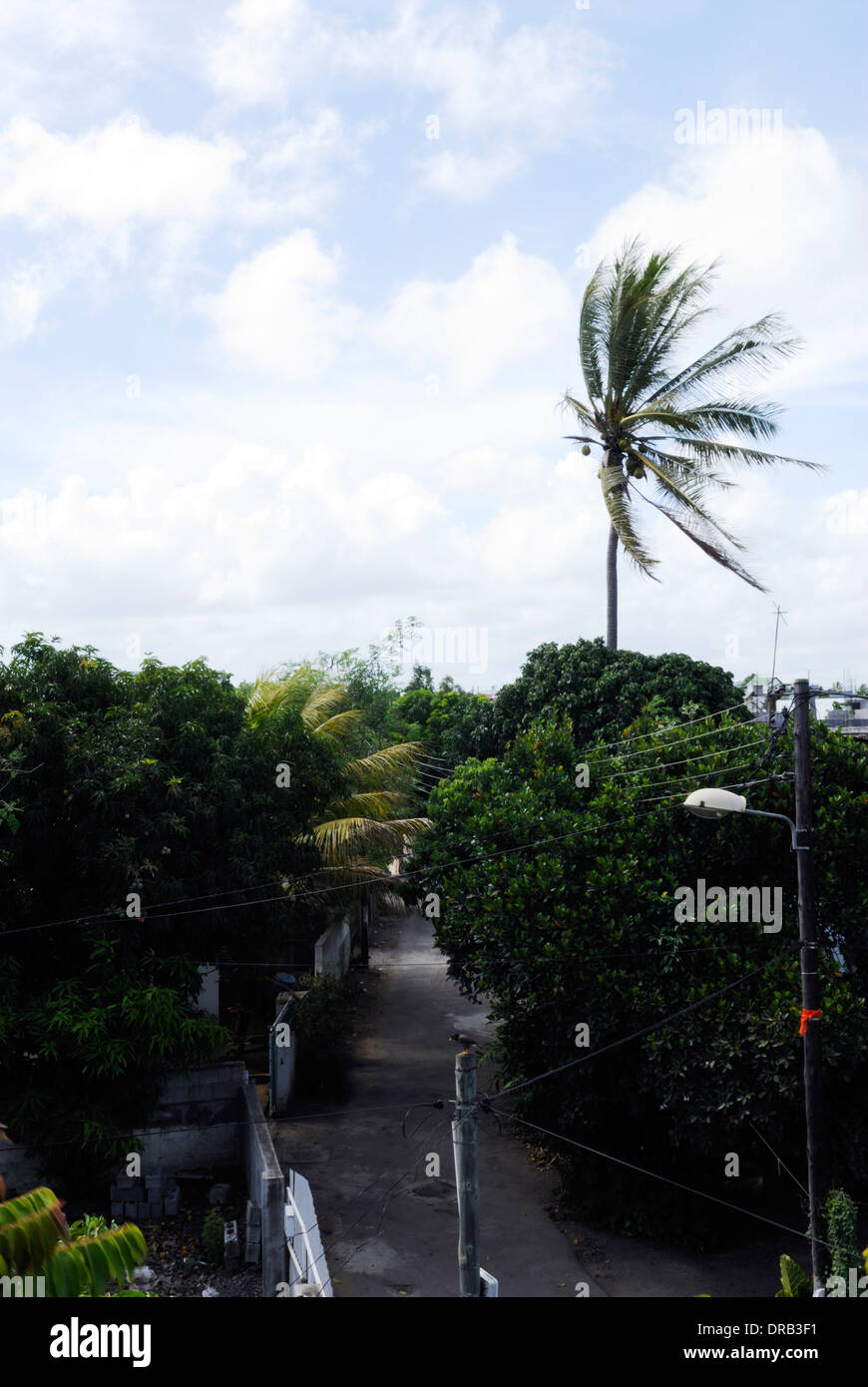 Breezing hi-res stock photography and images - Alamy