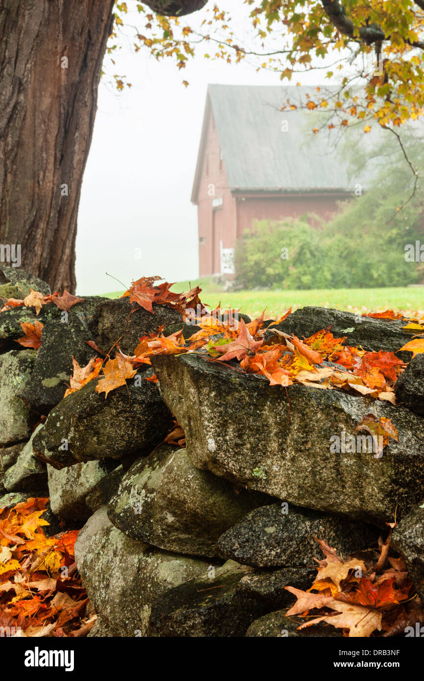 A close-up view of an old stone wall photographed during the fall ...