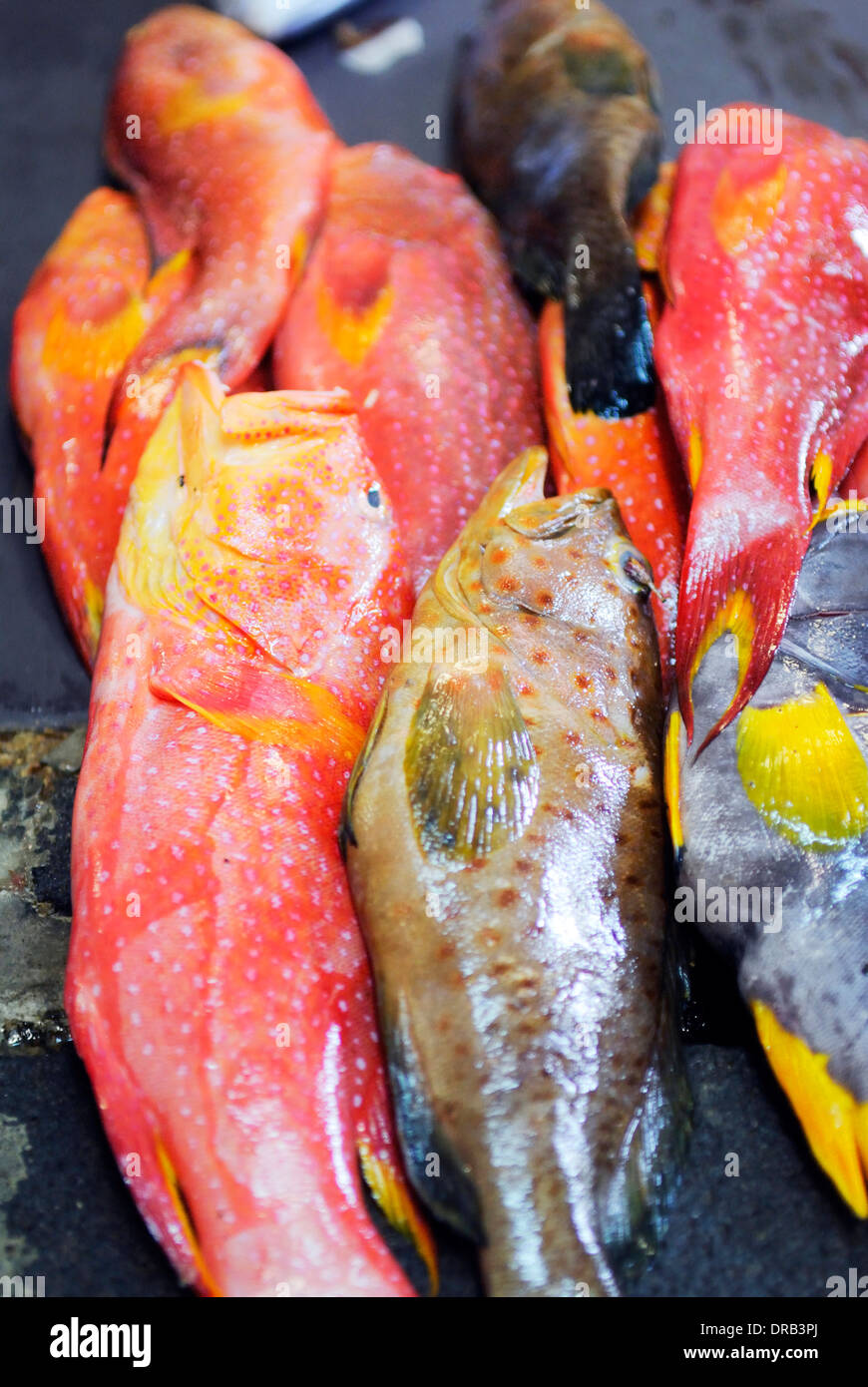 Mauritius food seafood hi-res stock photography and images - Alamy