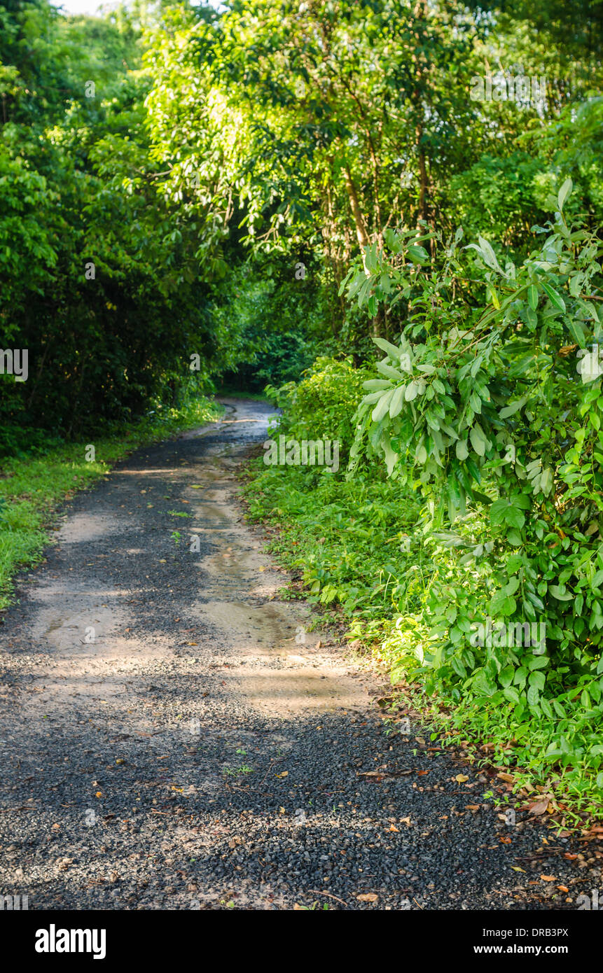 Soil road and grass meadow in countryside view nature Stock Photo - Alamy