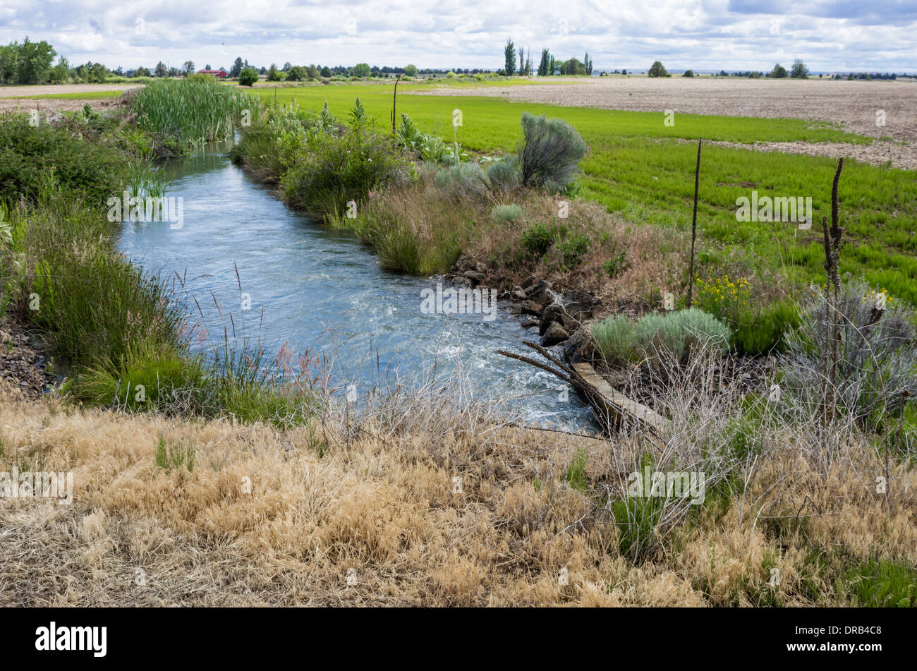 Irrigation canal moves water into farmland so crops can be irrigated ...