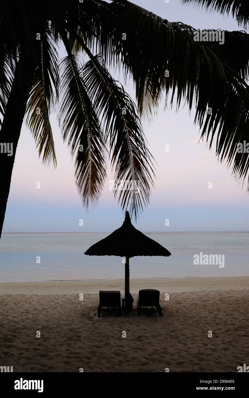 Beach chairs on beach in Mauritius Stock Photo - Alamy