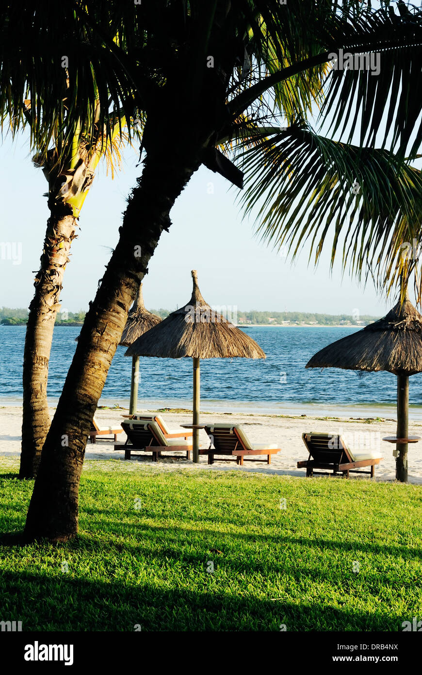 Beach chairs on beach in Mauritius Stock Photo - Alamy