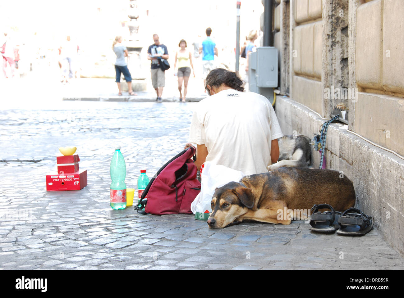 Homeless person with dog Stock Photo - Alamy