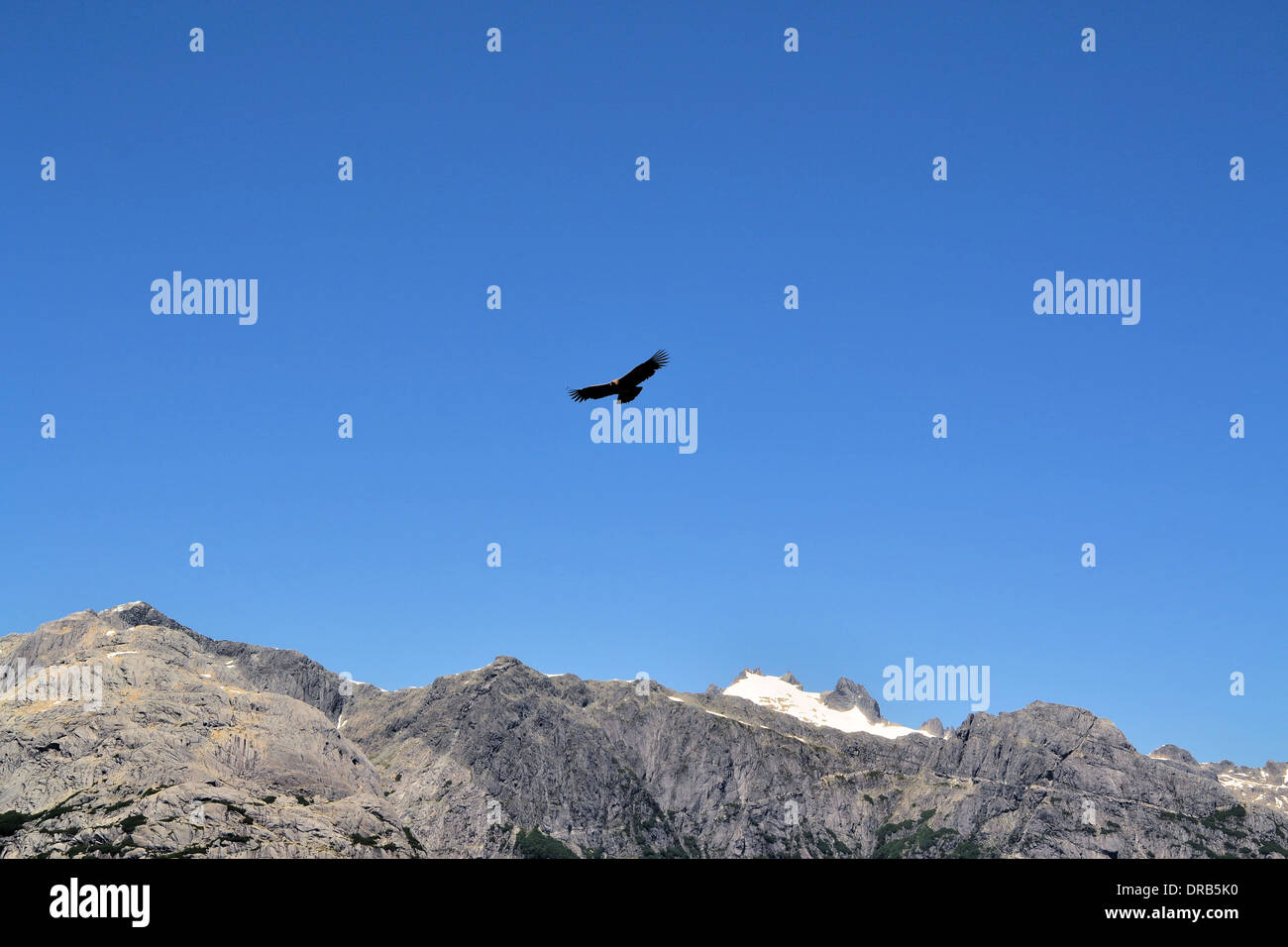 Float condor hi-res stock photography and images - Alamy