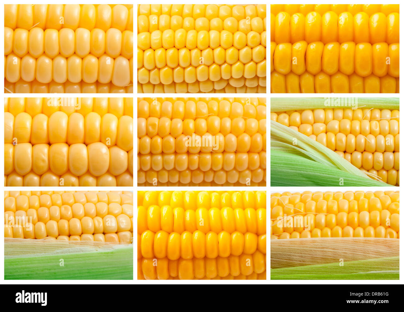 Corn nutrition hi-res stock photography and images - Alamy