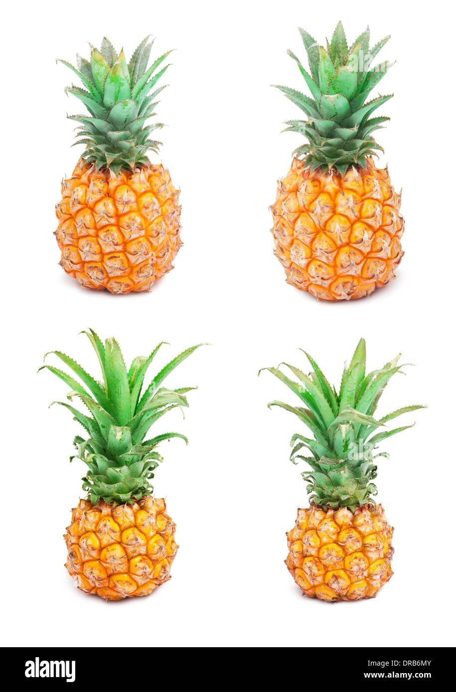Pineapple collection hi-res stock photography and images - Alamy