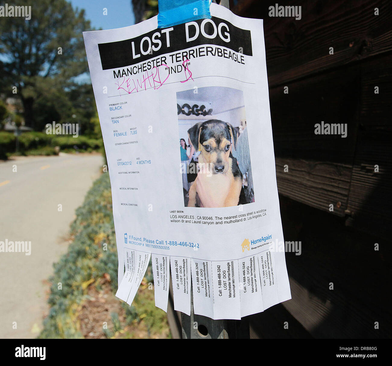 Lost and found sign hi-res stock photography and images - Alamy