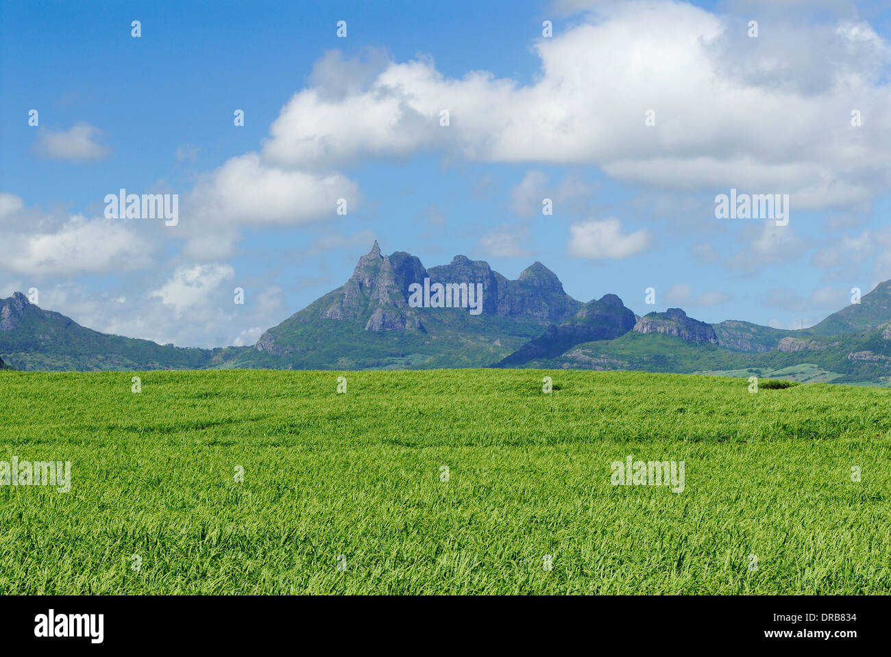 Rocky mountain in Mauritius Stock Photo - Alamy