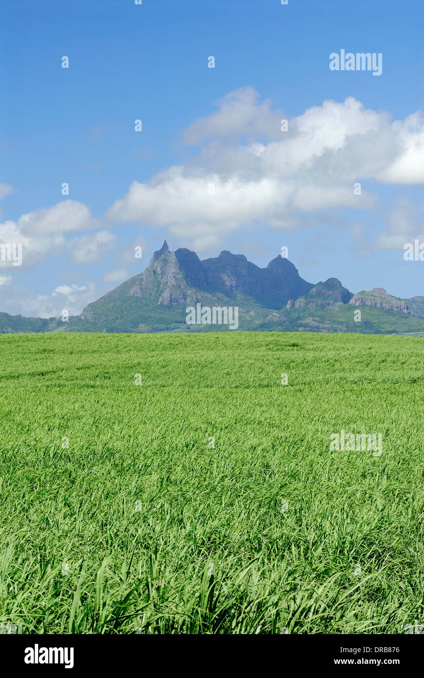 Rocky mountain in Mauritius Stock Photo - Alamy