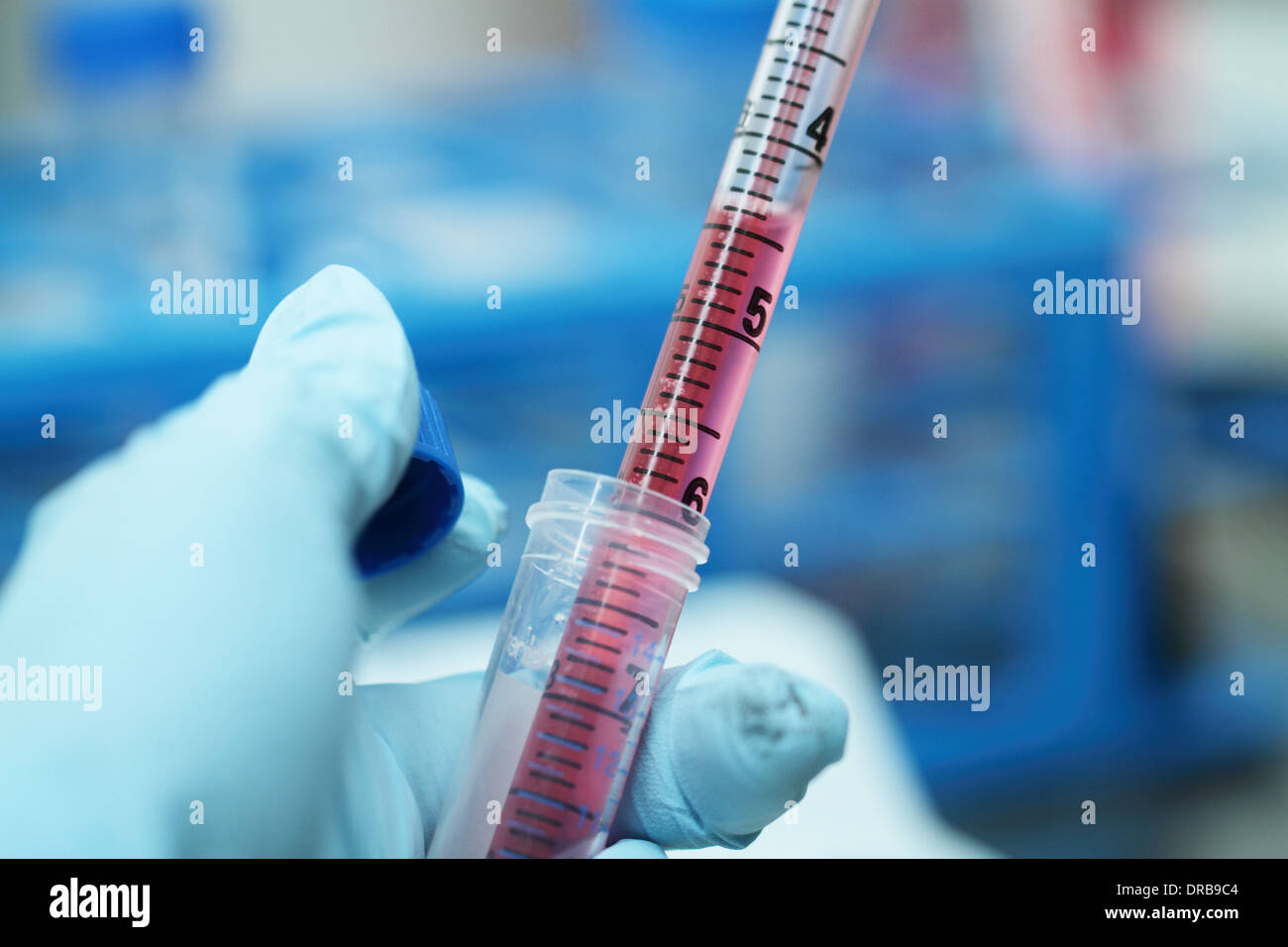 A person pipetting medium in a tube with a pipette Stock Photo - Alamy
