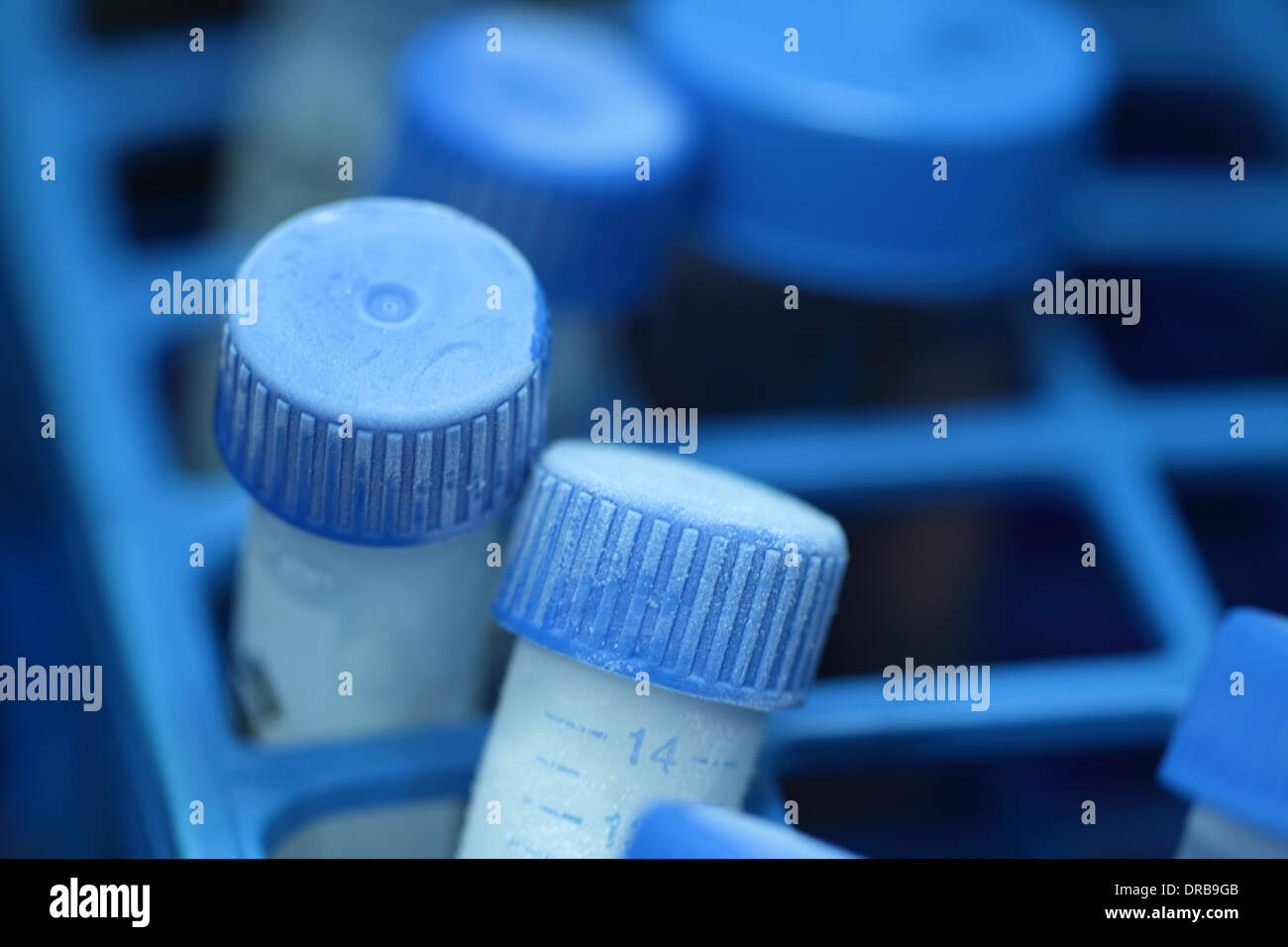 closed frozen tubes in a rack of a lab Stock Photo - Alamy